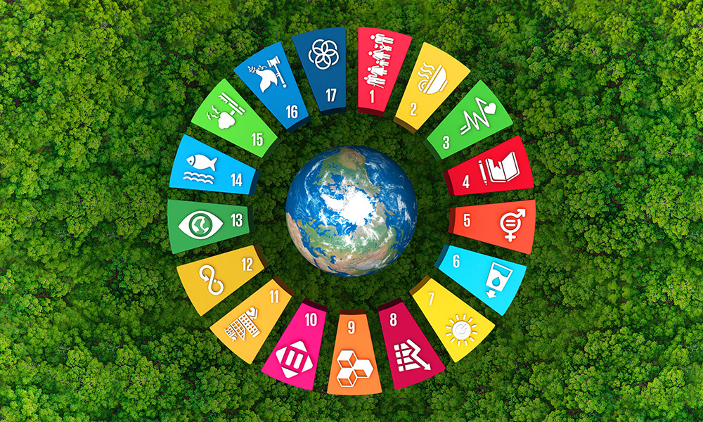 Sustainable Development Goals in Education Policy | The Good Learn